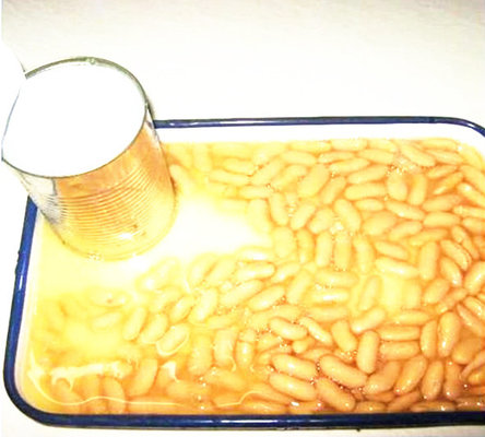 Factory Price Premium China Canned White Kidney Bean in Brine