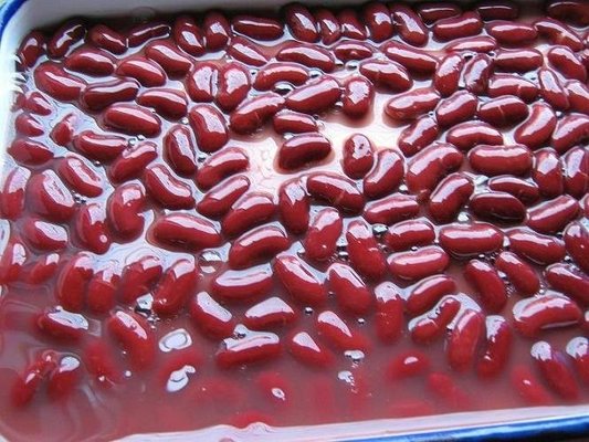 Factory Price Premium China Canned Red Kidney Bean
