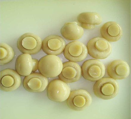 Factory Price Premium China Canned Mushroom Whole in Brine