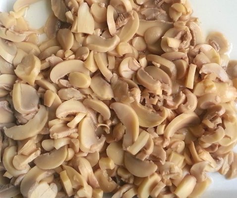 Factory Price Premium China Canned Mushroom Pieces and Stem in Brine