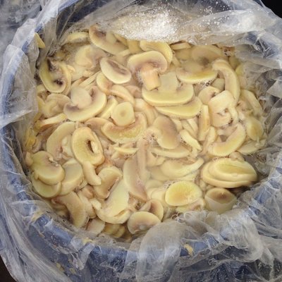 Factory Price Premium Fresh Drum Mushroom Slice in Brine (30%Slices,3.5-5.0CM)