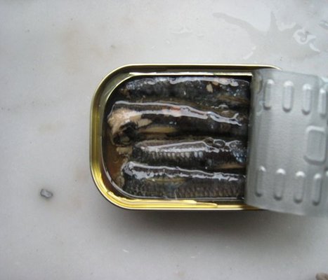 Factory Price Premium China Canned Sardines Fish in Vegetables Oil