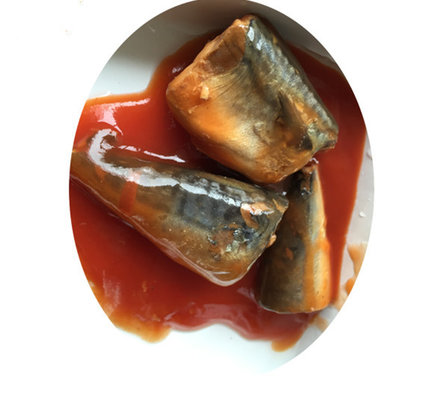 Factory Price Premium China Canned Mackerel Fish in Tomato Sauce