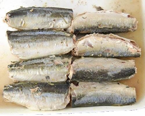 Factory Price Fresh China Canned Mackerel Fish in Brine