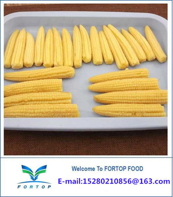 Factory Price China Fresh Superior Yellow Canned Baby Corn Whole in Brine A10
