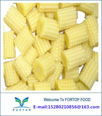 Factory Price China Fresh Canned Baby Corn Cut in Brine N.W.425G
