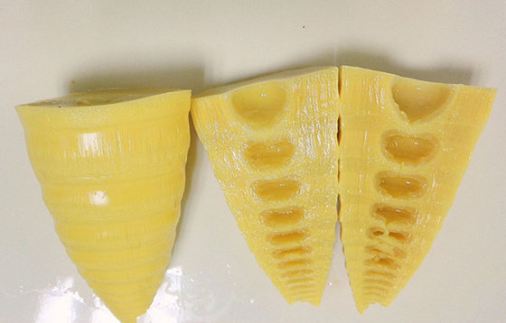 Factory Price Premiun Healthy Fresh Crop China Canned Bamboo Shoot Halves in Brine