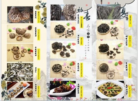 Factory Price Premium Washed Thick Clear Dried White Back Black Fungus Mushroom Whole without Stem