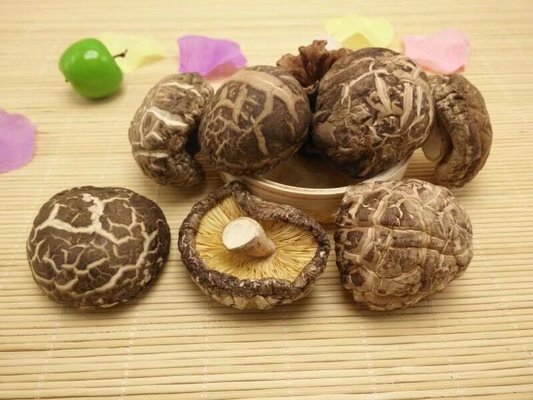 Factory Price Premium Thick  Dried Tea Flower Mushroom Shiitake Whole 4-6CM