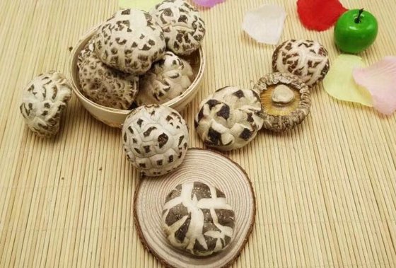 Factory Price Premium Bulk Thick Dried White Flower Shiitake Mushroom Whole 4-6CM