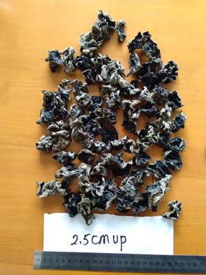Factory Price Premium Dried Mushroom Black Fungus 2.5CM above
