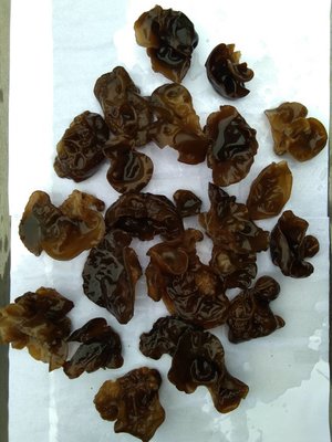 Factory Price Premium Dried Mushroom Black Fungus 2.5CM above