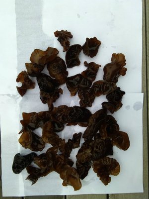 Factory Price Premium Dried Mushroom Black Fungus 2.5CM above