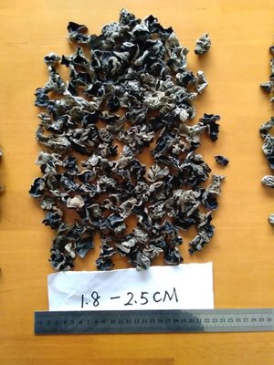 Factory Price Premium Dried Black Fungus （Mu Er）1.0-1.8CM,1.8-2.5cm,2.5cm Up