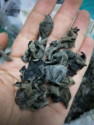 Factory Price Bulk Dried Mushroom Black Fungus 1.0-1.8CM to Europe