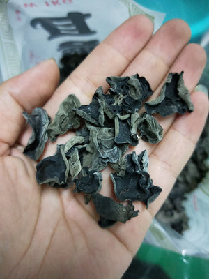 Factory Price Bulk Dried Mushroom Black Fungus 1.0-1.8CM to Europe