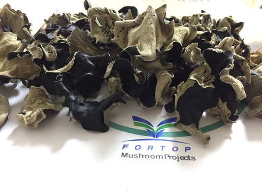 Factory Price Premium NEW CROP Dried White Back Black Fungus Mushroom Whole
