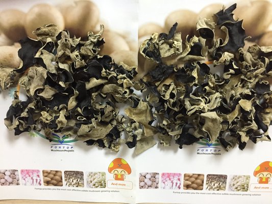 Factory Price Premium NEW CROP Dried White Back Black Fungus Mushroom Whole