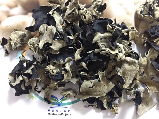 Factory Price Premium NEW CROP Dried Black Fungus within 5 CM (Auricularia Auricula)