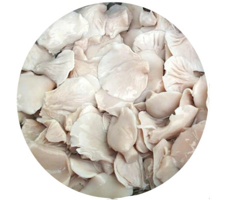 Factory Price Premium NEW SEASON Canned Oyster Mushroom Whole in Brine