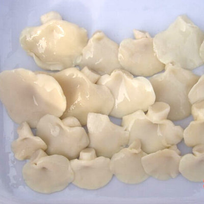 Factory Price Premium NEW SEASON Canned Oyster Mushroom Whole in Brine