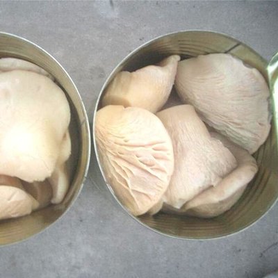 Factory Price Premium NEW SEASON Canned Oyster Mushroom Whole in Brine
