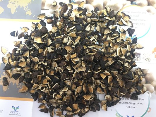 Factory Price Premium Dried Shiitake Mushroom Cubes (1/4 Cut) 1.5-2.5CM Size