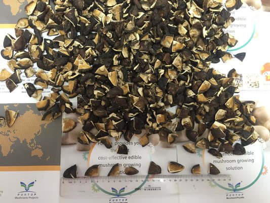 Factory Price Premium Dried Shiitake Mushroom Cubes (1/4 Cut) 1.5-2.5CM Size