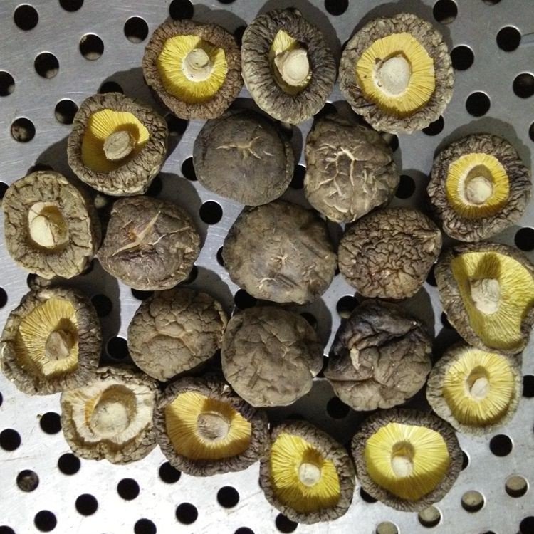 Factory Price Brown Dried Shiitake Mushroom Whole 1KG with Cap 3-4 CM