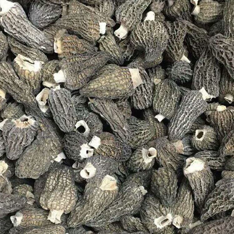 Factory Price Cultiavated Cap 3-8CM Dried Morel Mushroom without Stem