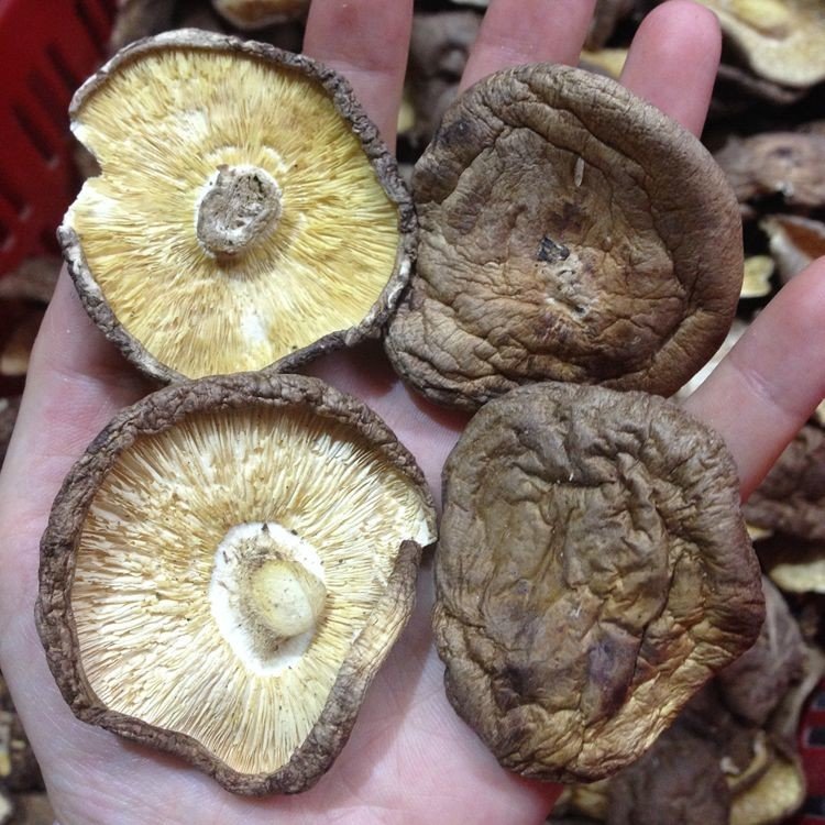 Factory Price Brown Dried Shiitake Mushroom Whole 1KGS Pack with 3-4CM Cap