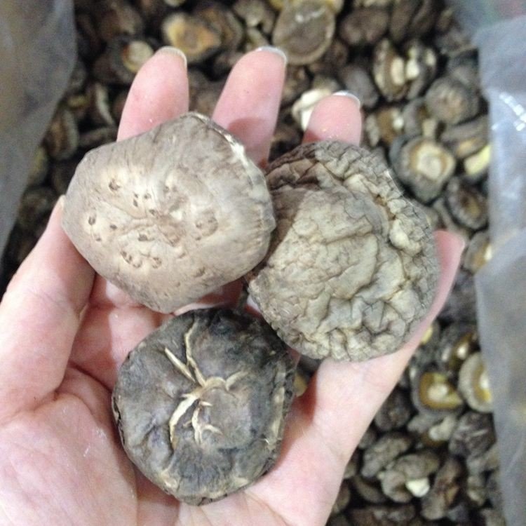 Factory Price Premium  Bulk Brown Dried Smooth Mushroom Shiitake Whole with Cap 4-6CM