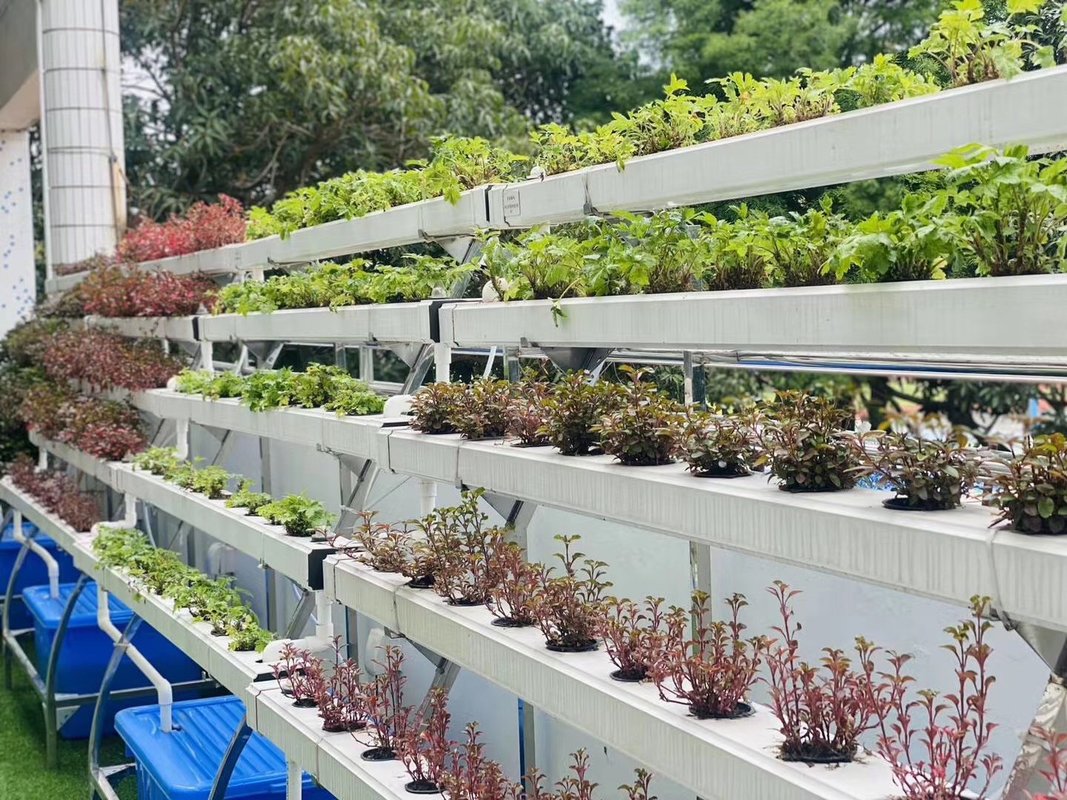 Customizable Greenhouse Home Garden Single Side NFT Hydroponic Pipe Growing System to Grow Strawberry Lettuce Vegetable