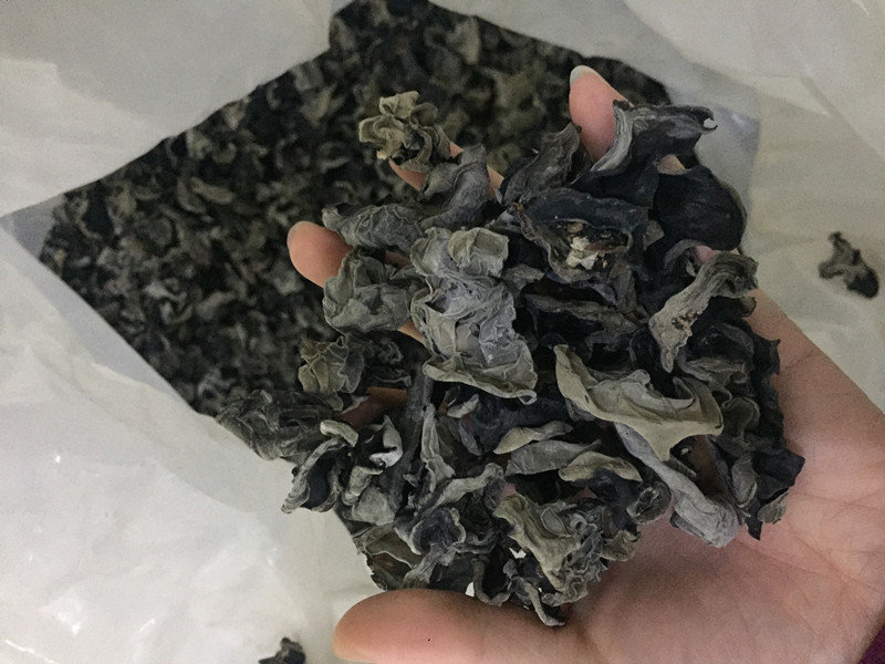 Factory Price Dried Black Fungus to Europe (Size:2.5CM above)