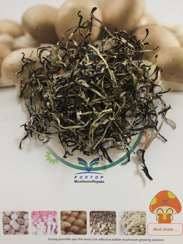 Factory Price Dried White Back Black Fungus Slices AA Grade  with Natural Length