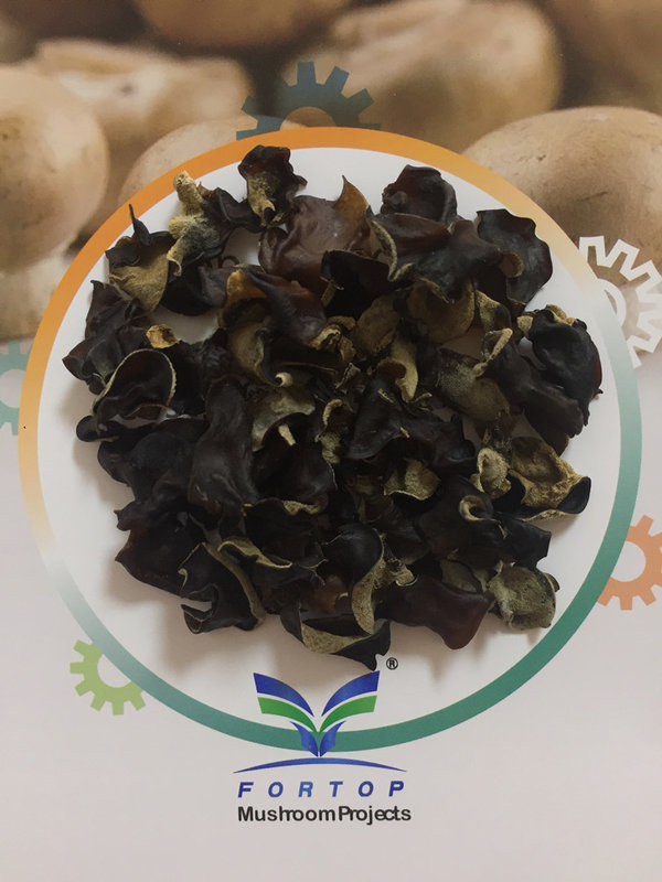 Factory Price Thin Dried White Back Black Wood Ear Fungus Mushroom Cubes (Dices) A Grade