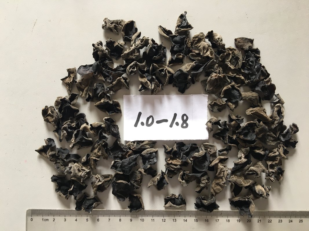 Factory Price Bulk Dried Black Fungus Mushroom Whole 1.0-1.8CM from Northeast