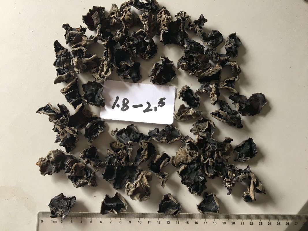 Factory Price Northeast Dried Black Fungus Whole 1.8-2.5CM in Bulk