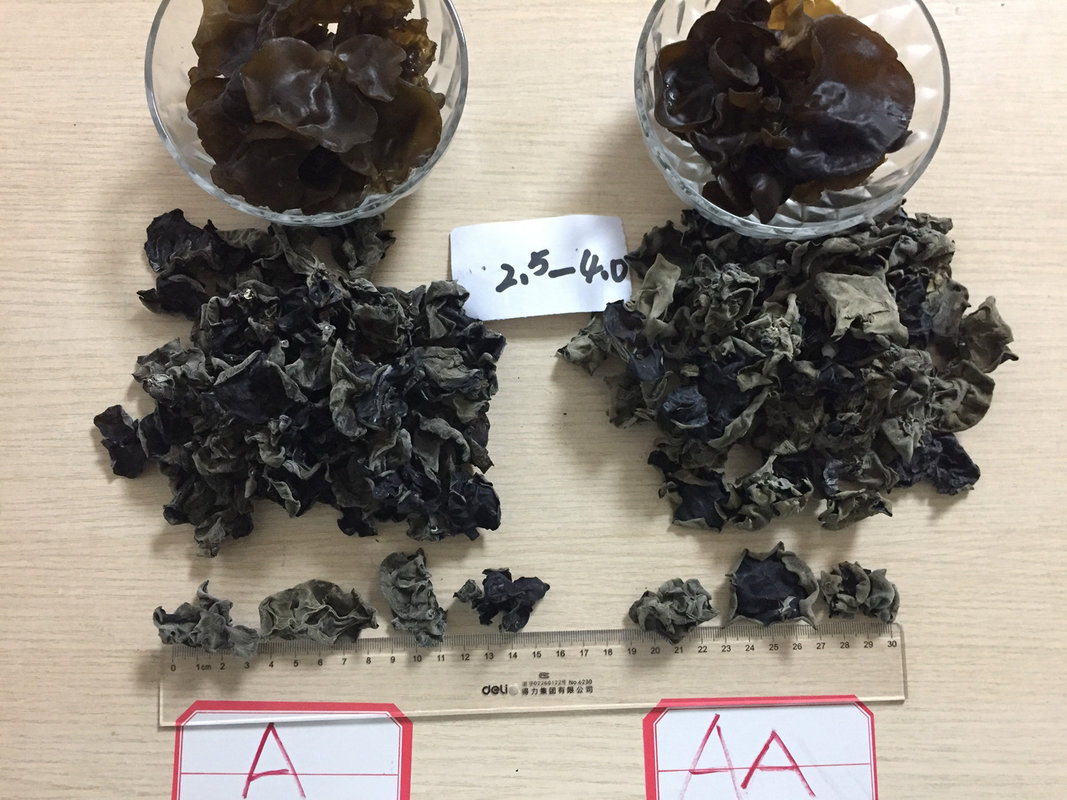 Factory Price Thick Bulk Dried Black Fungus Whole 2.5CM above for AA and A Grade