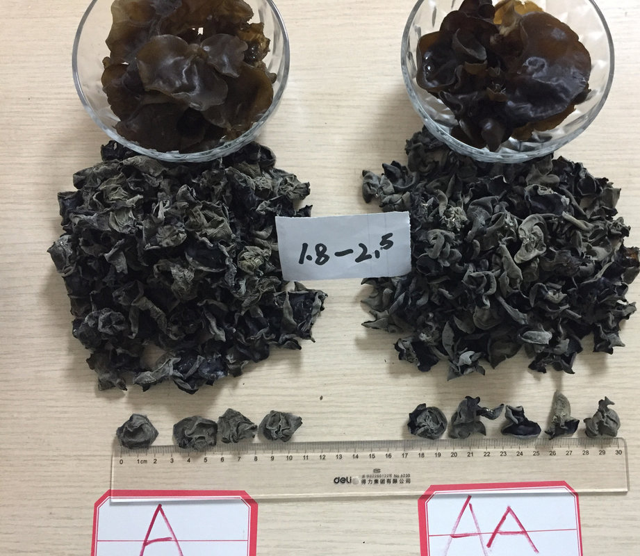 Factory Price Northeast Dried Black Jew Ear Fungus 1.8-2.5cm for AA and A Grade
