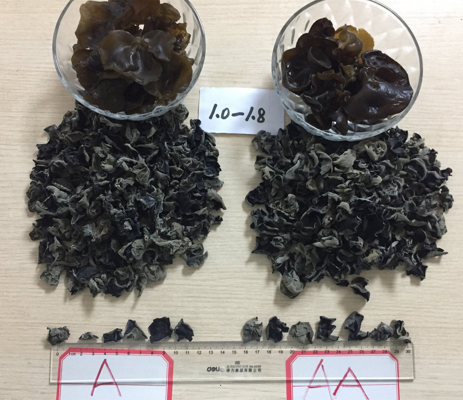 Factory Price Northeast Dried Black Wood Ear Fungus Mushroom 1.0-1.8cm for AA and A Grade