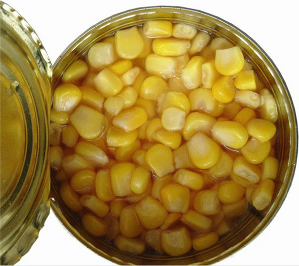 Factory Price New Season Vegetarian Tinned Yellow Sweet Corn in Brine Professional Supplier
