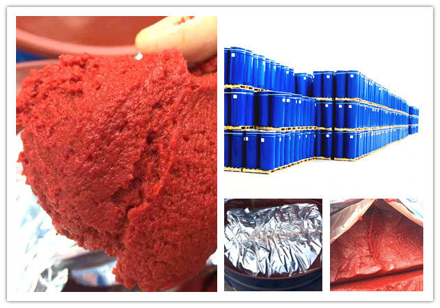 Factory Price Premium Tomato Paste in Drum (Brix: 28-30%; 30-32%;36-38%)