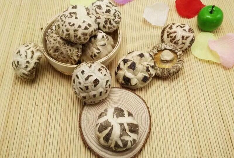 Factory Price Premium Bulk Thick Dried White Flower Shiitake Mushroom Whole 4-6CM