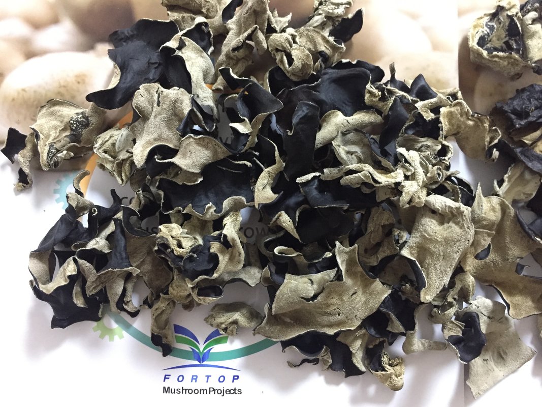 Factory Price Premium NEW CROP Dried White Back Black Fungus Mushroom Whole
