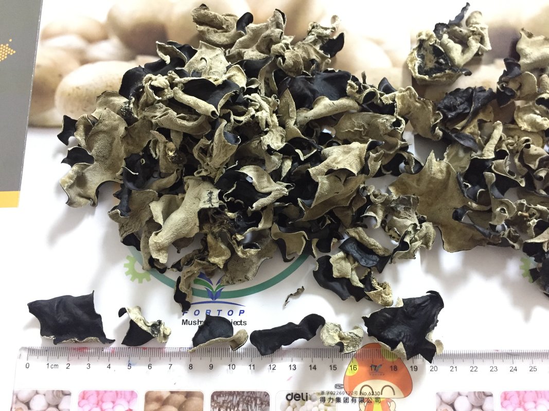 Factory Price Premium NEW CROP Dried Black Fungus within 5 CM (Auricularia Auricula)
