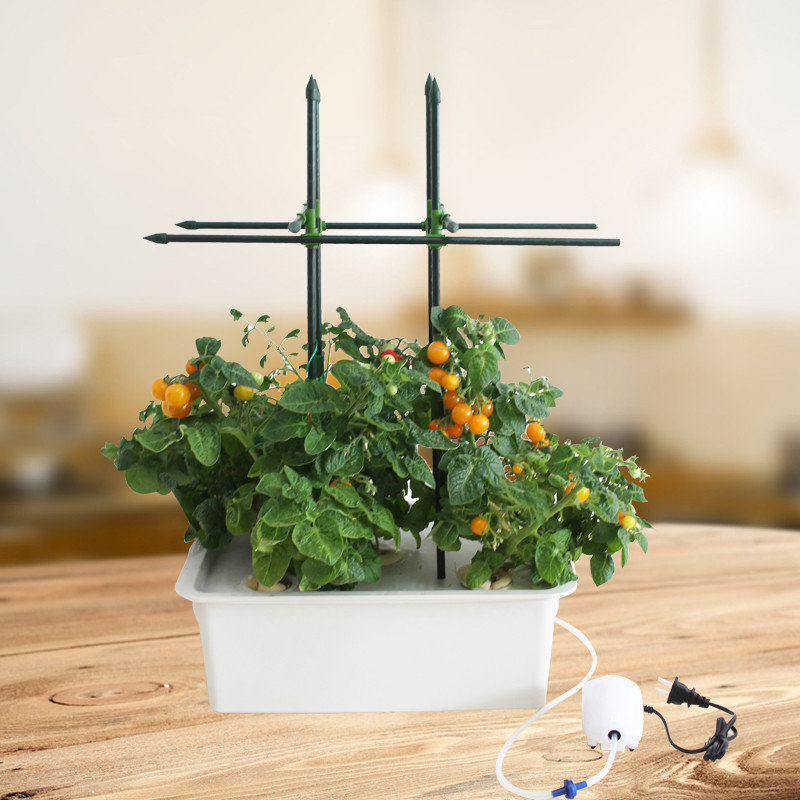 Hydroponic Box Home Plant Soilless Cultivation 5 Hole hydroponics growing Tomato system Kit