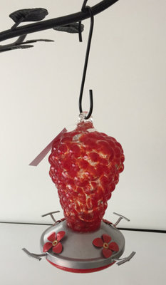 Red Special Glass Hummingbird Glass Feeders / Ant Proof Hummingbird Feeder