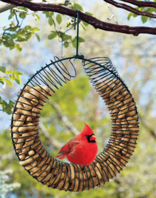 SS Spring Fat Ball Bird Feeder / Shelled Peanut Bird Feeder Blue Powder Coated