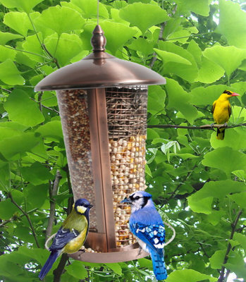 Seed And Suet Bird Feeder / Anti Squirrel Bird Feeder Metal Copper Plated Finish